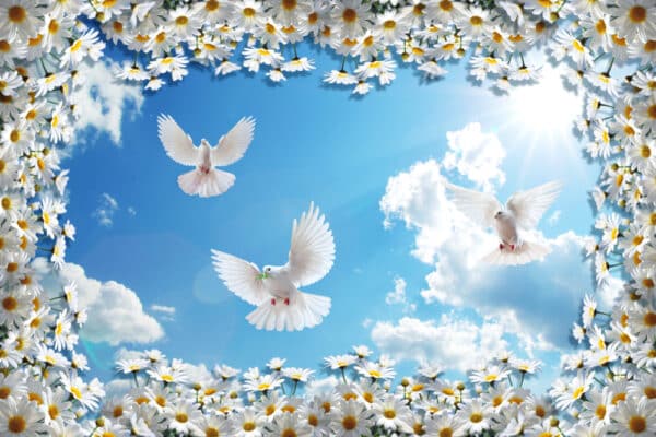 3D sky's wallpaper for celing - Yas unique wallpaper